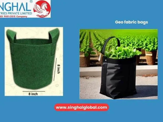 Understanding Geo Bags and Their Pricing : A Comprehensive Guide ...