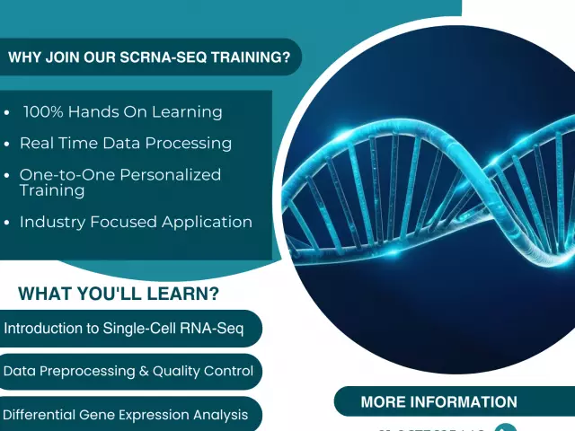 Master Single Cell RNA-Seq Data Analysis – Enroll Now! Chandigarh - Kippee